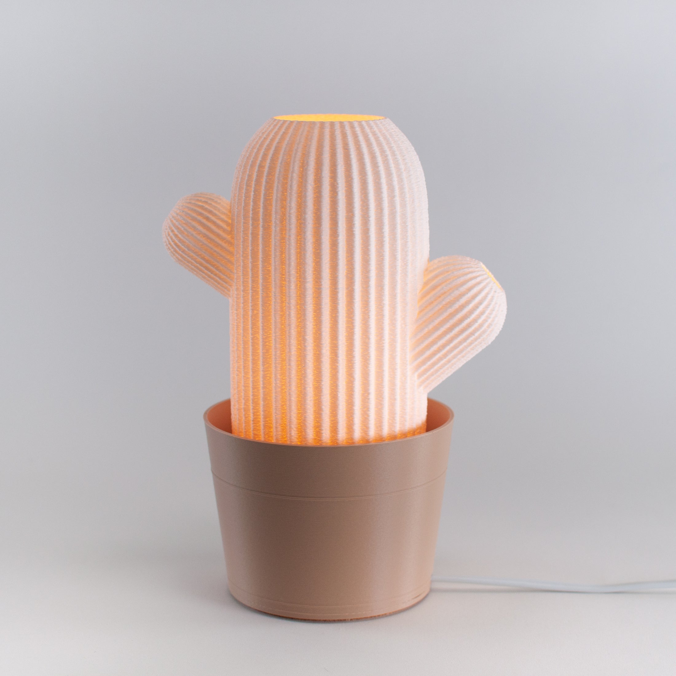 Mika Cactus Table Lamp - Eco Friendly 3D Printed Homeware Design ...